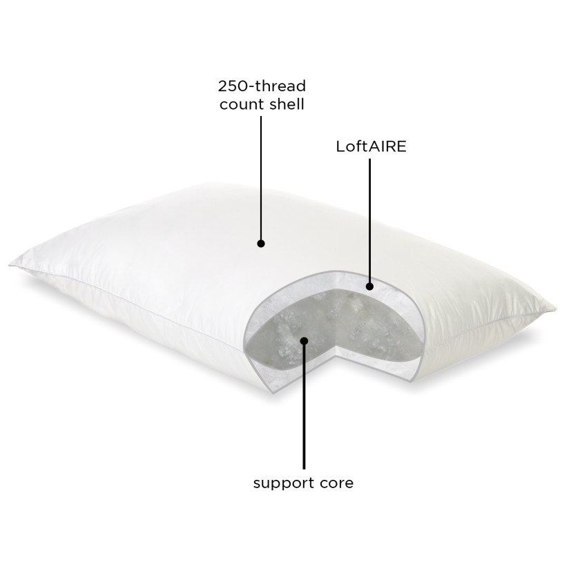 Support, Posture, and Specialty Pillows | The Company Store