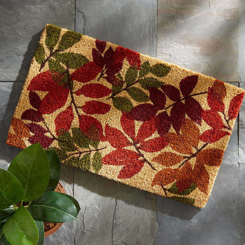 Outdoor Living | The Company Store