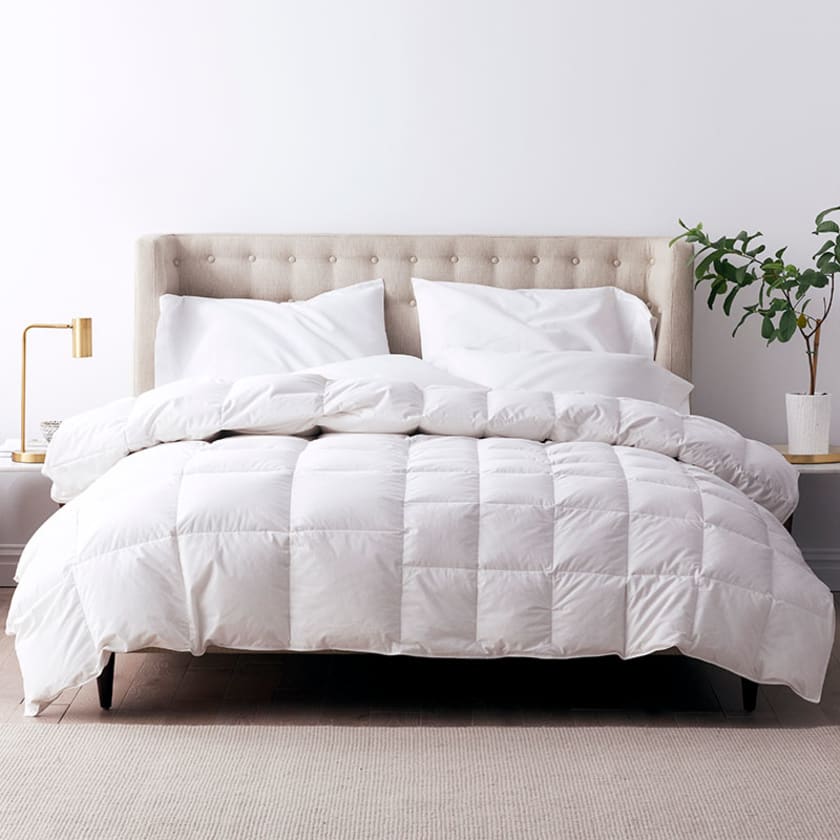 Duvet Inserts | The Company Store