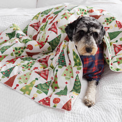 Pet Bedding, Dog Bed Inserts, and Covers | The Company Store